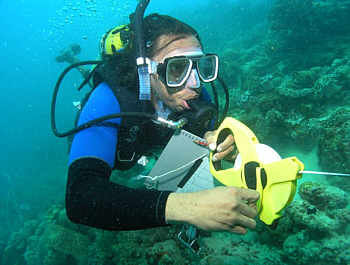 Career Profile: Marine Engine Technician